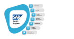 Understanding SAP BASIS Support | SAP Basis Services | ESDS