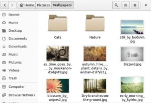 File Managers to try in Linux Fedora – Part 2