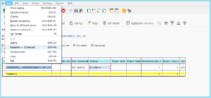 How to schedule background job in SAP| SAP Background Job | ESDS