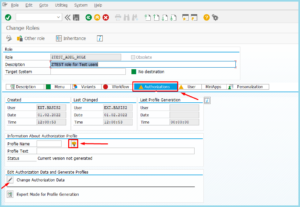 How to Create & Copy user role in SAP system? | ESDS